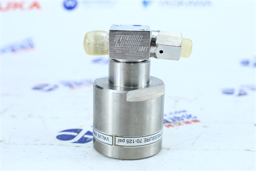 ICS TRIPLEX(ROCKWELL) T8451 Analog input module - Changxin Automation