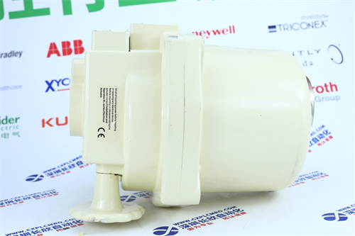 ICS TRIPLEX T8448 Control module - Changxin Automation